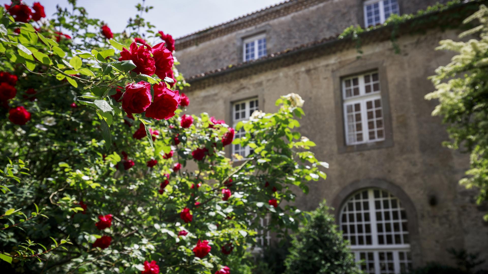 Camon One of the most beautiful villages in France | Official website ...