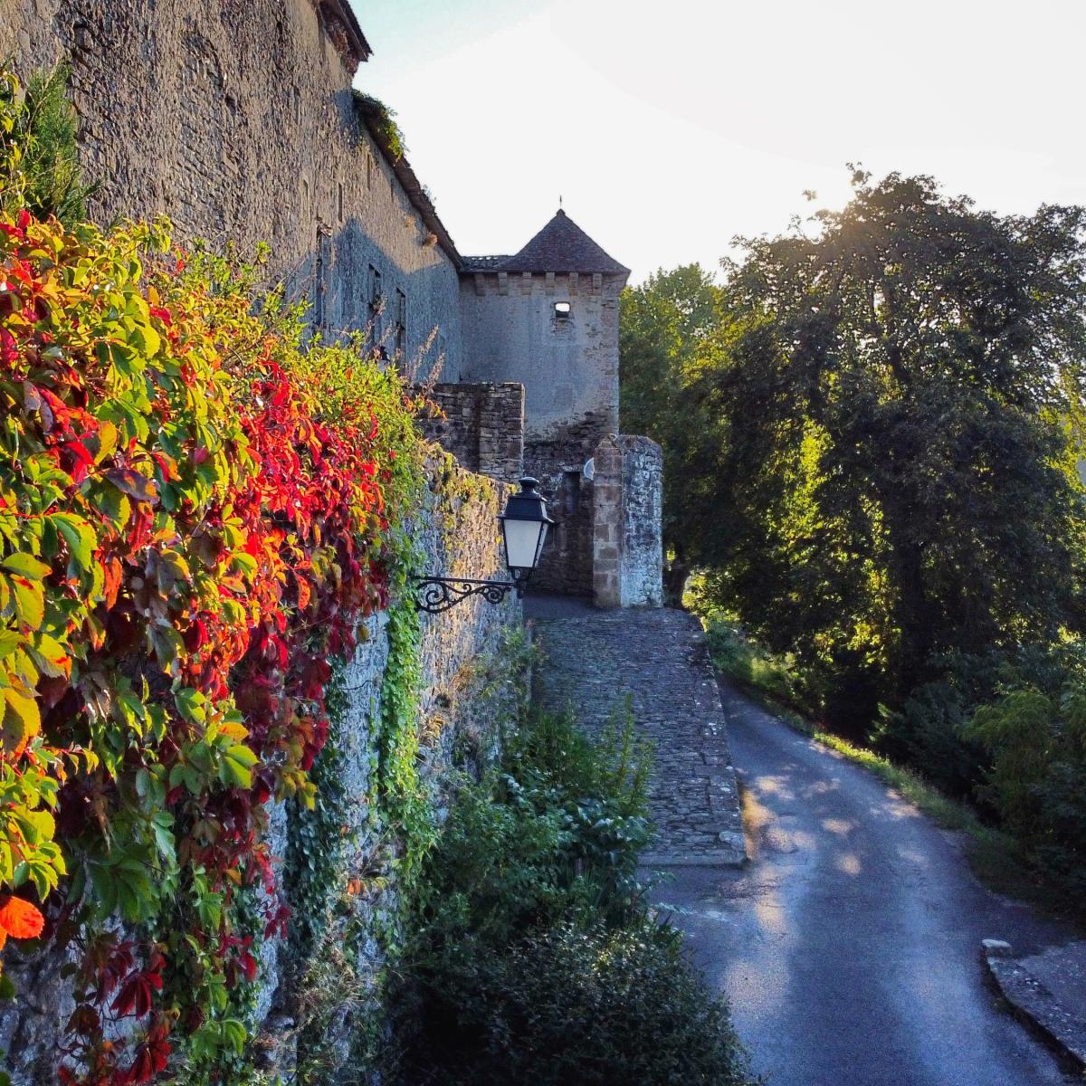 Mirepoix ville libre – groupes | Site Officiel de l'Office de Tourisme ...