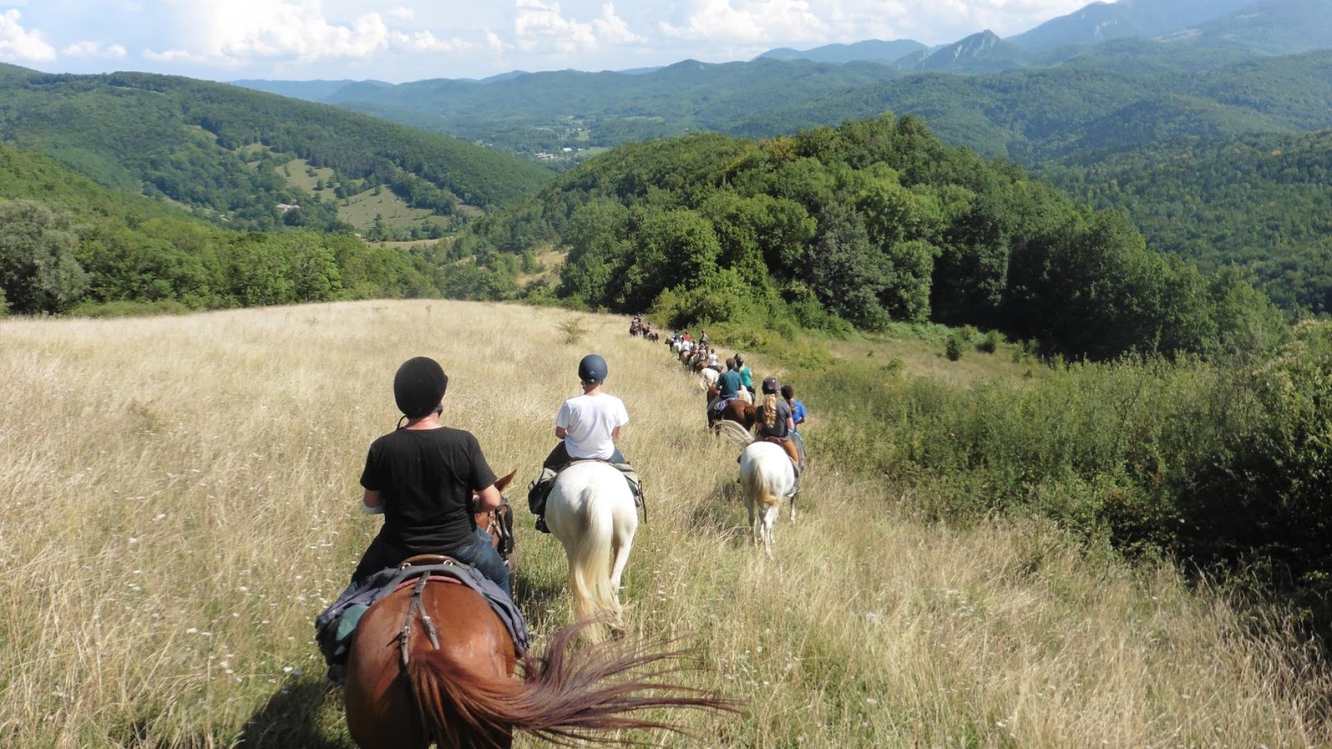 Horseback riding | Official website of the Office de Tourisme des ...