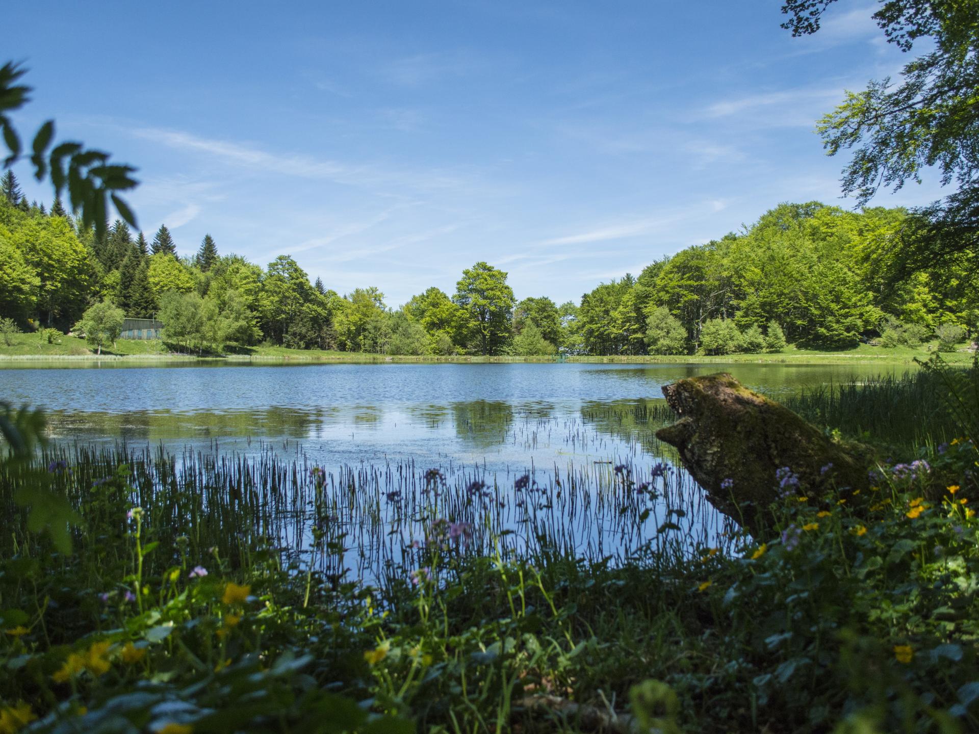 Gorges de la Frau | Site Officiel de l'Office de Tourisme des Pyrénées ...