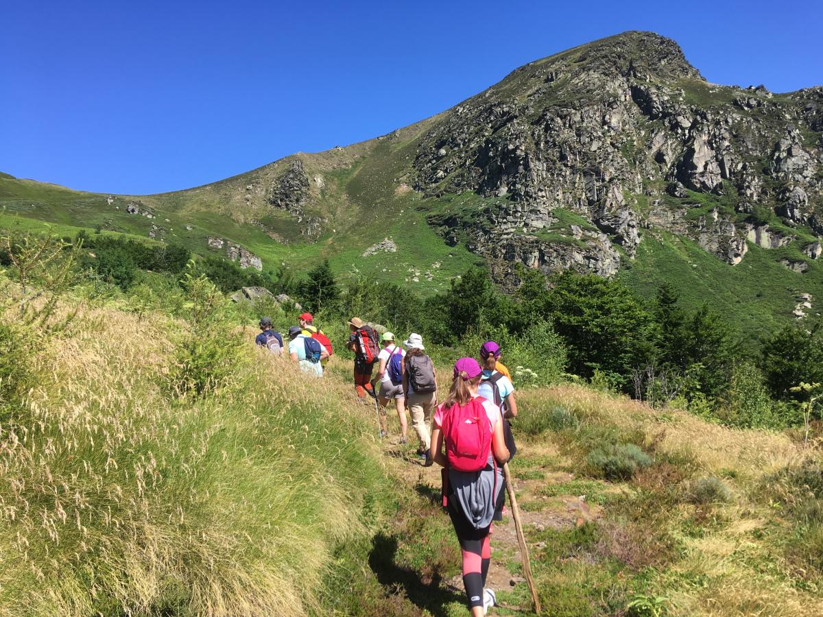 Le cheval de Mérens dans les Pyrénées Cathares | Site Officiel de l ...
