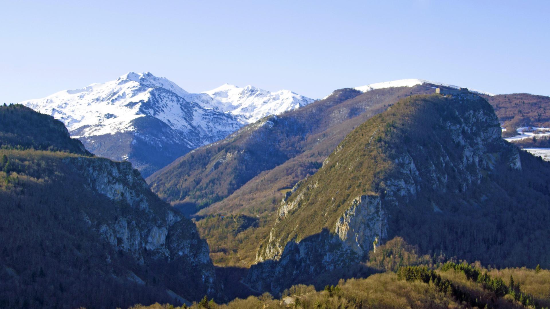 La Ferme aux Bisons | Site Officiel de l'Office de Tourisme des ...