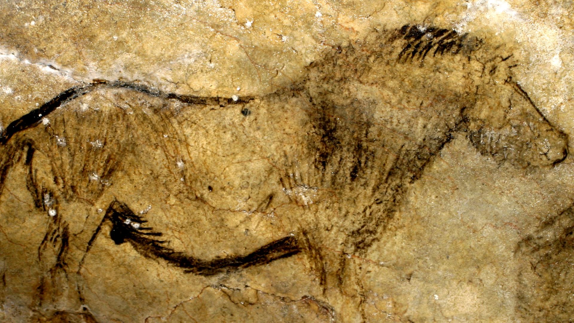 The Merens horse in the Cathar Pyrenees | Official website of the ...
